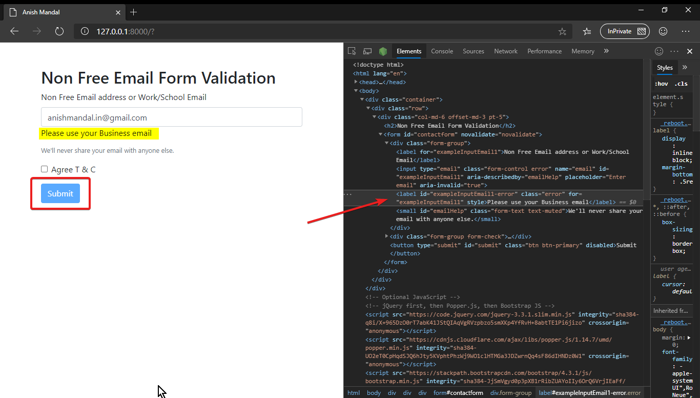 How to configure client side Email form only allow business email address in Laravel using ...